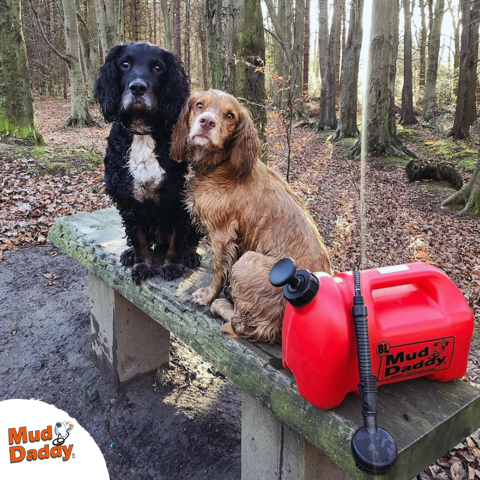 I hate mud and dirt. But I will always promote a dog’s need to be a do ...