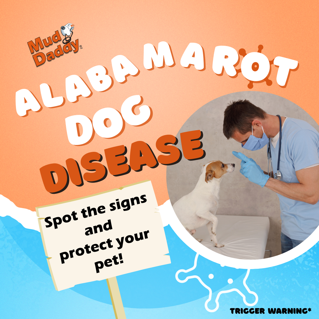 Alabama Rot Dog Disease and Why Muddy Dog owners should Beware ...