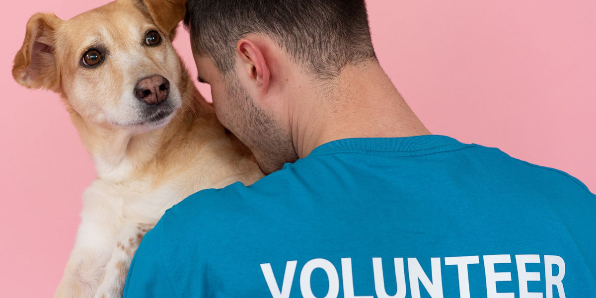 Embracing Unconditional Love: The Joy of Volunteering with Dogs ...