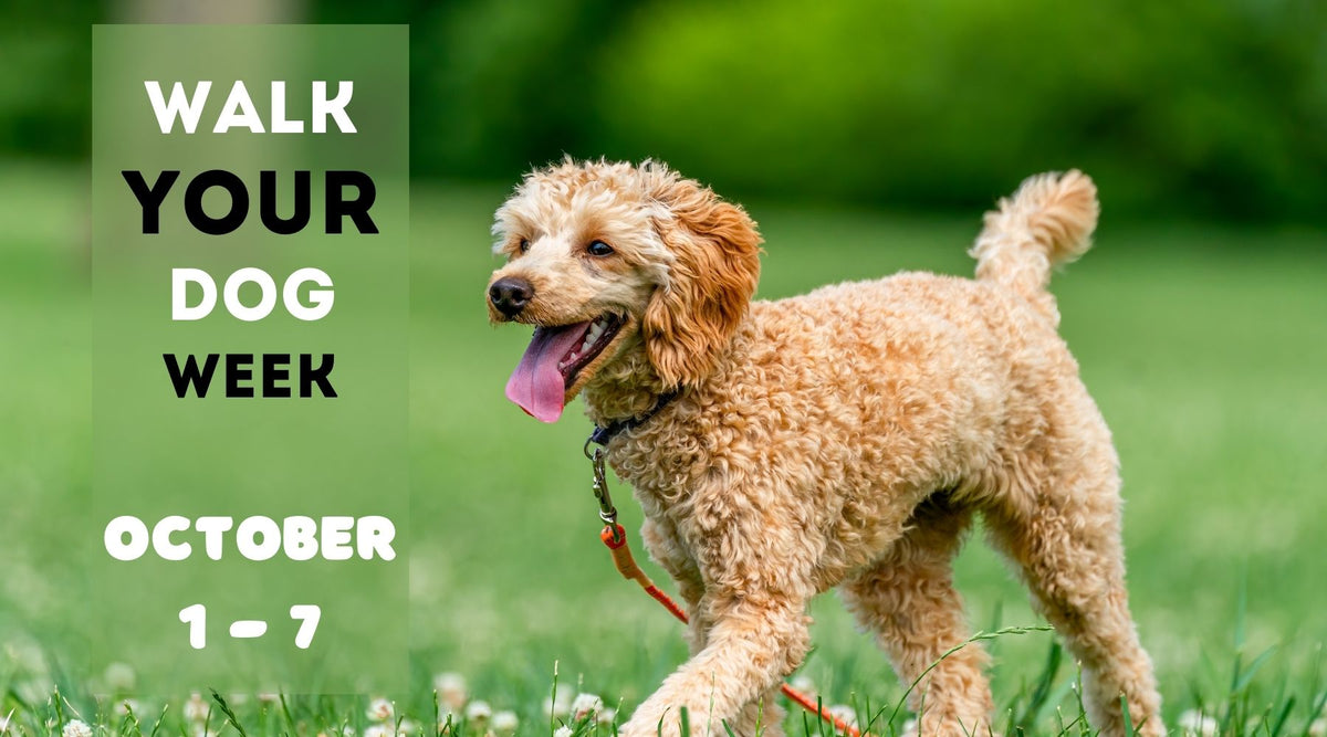 Celebrating: Walk Your Dog Week — muddaddy.co.uk