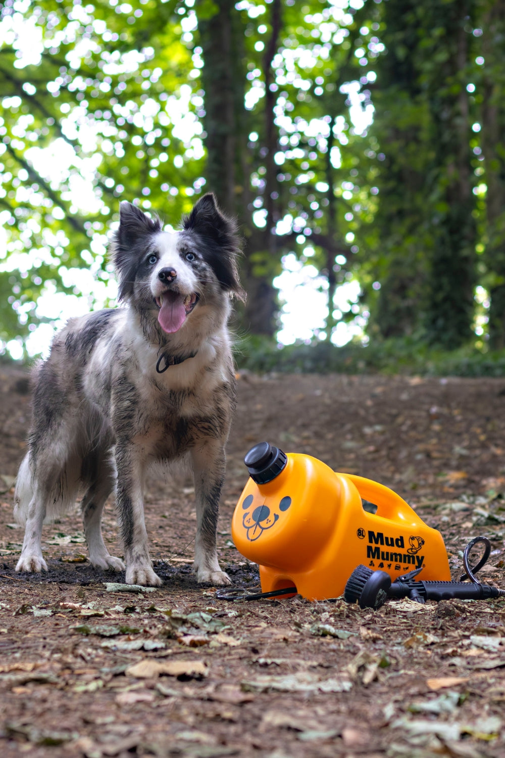 Mud Daddy 12L washing brush on wheels-Portable dog and horse shower ...