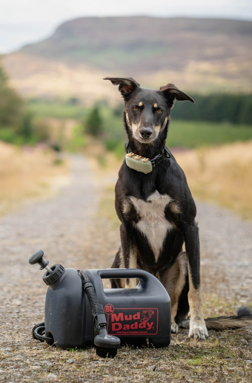 Refurbished – muddaddy.co.uk