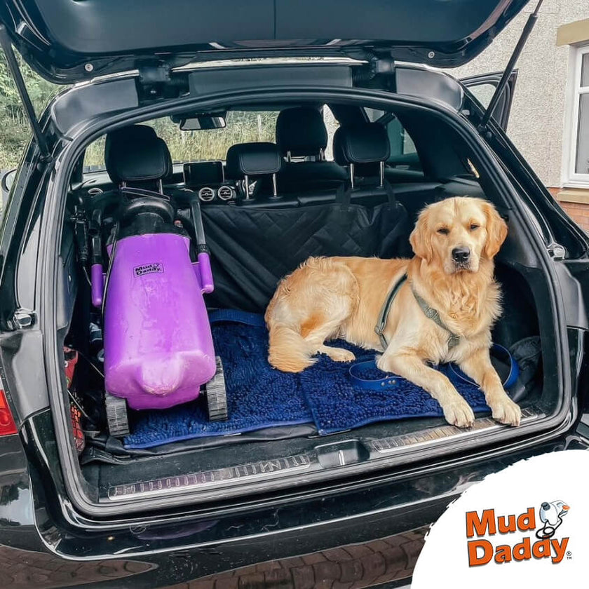 Mud Daddy 12L washing brush on wheels-Portable dog and horse shower ...