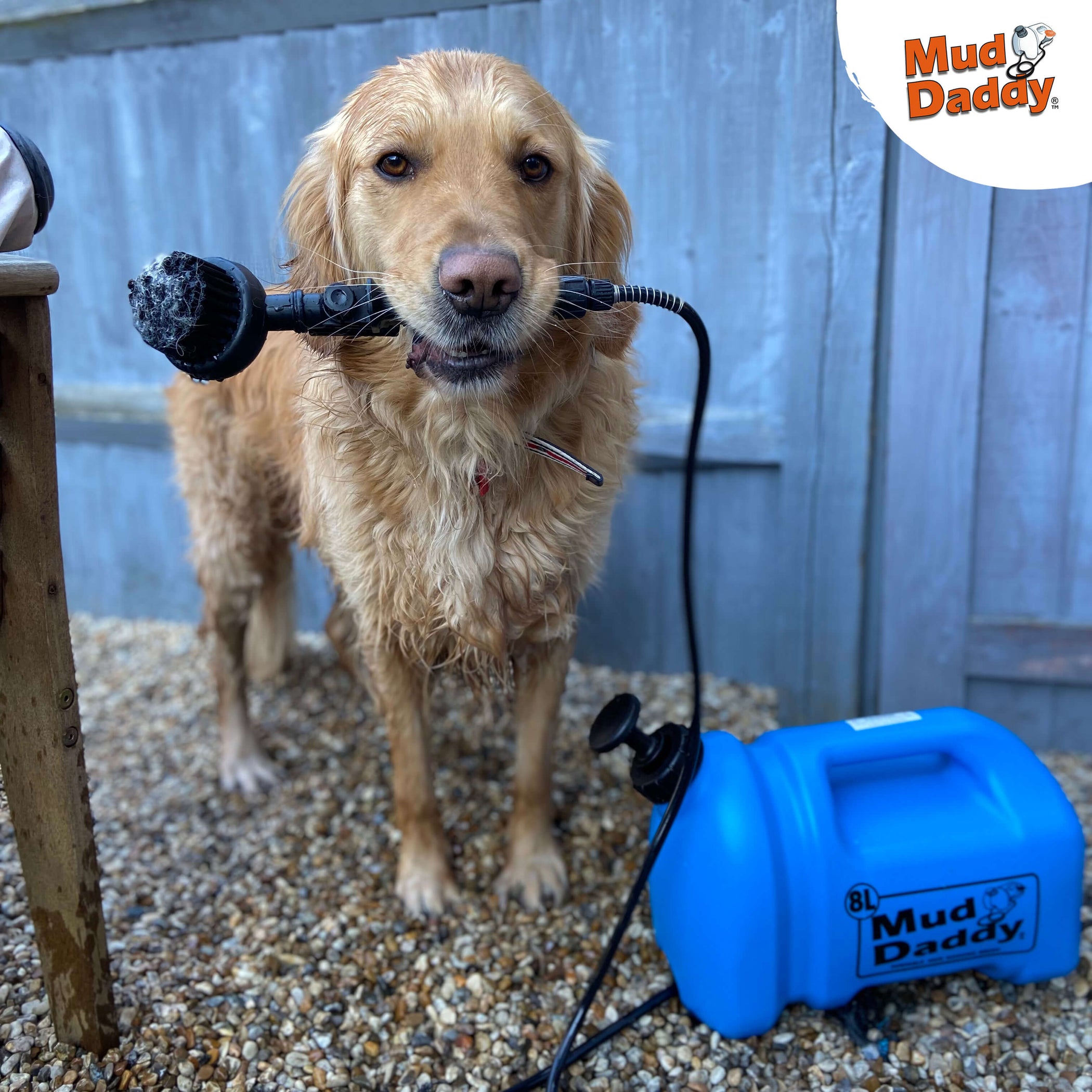 Mud Daddy® 8L | Original | Portable Pet Washing Device | Muddy Walks ...