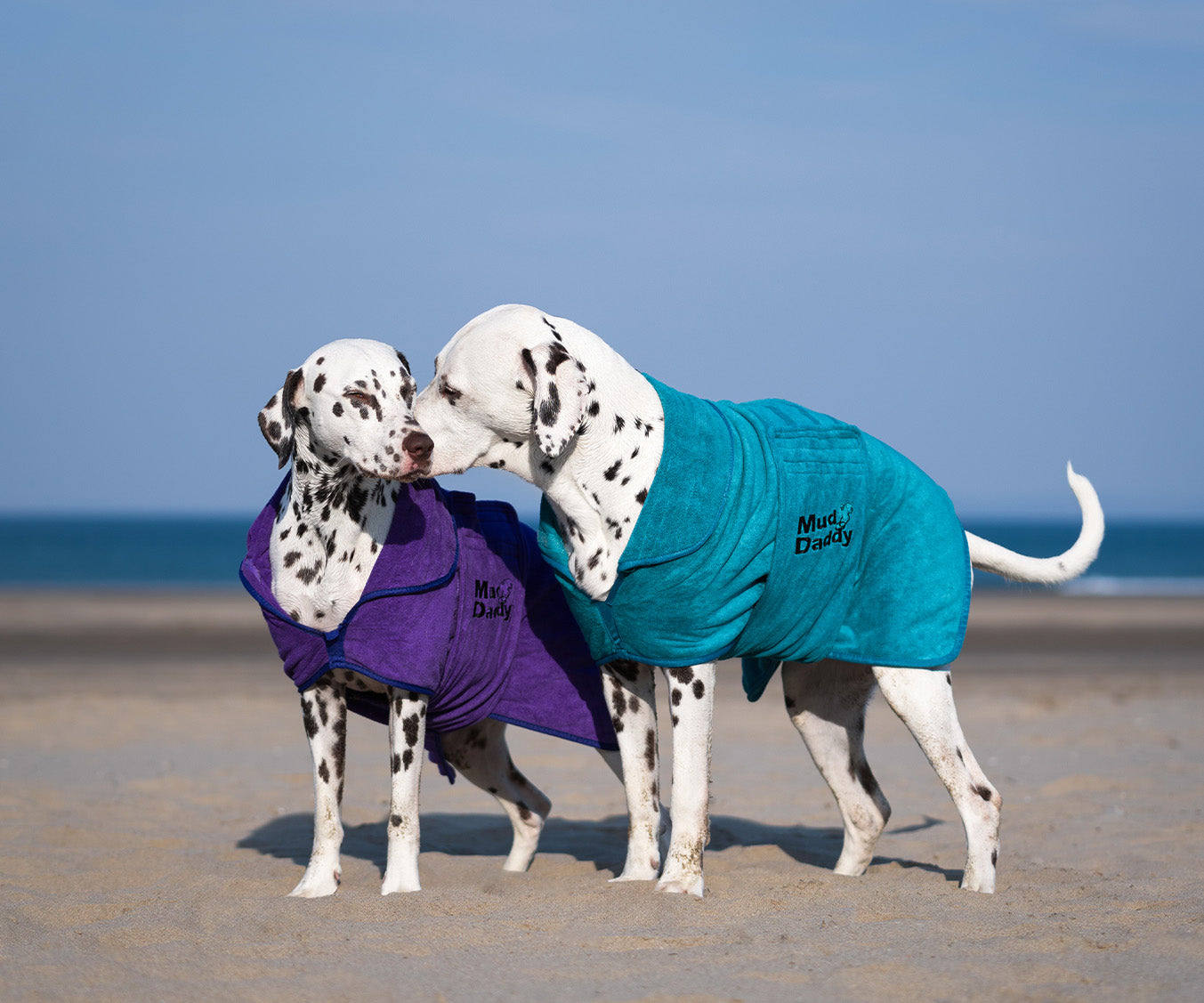 Mud Daddy UK — muddaddy.co.uk